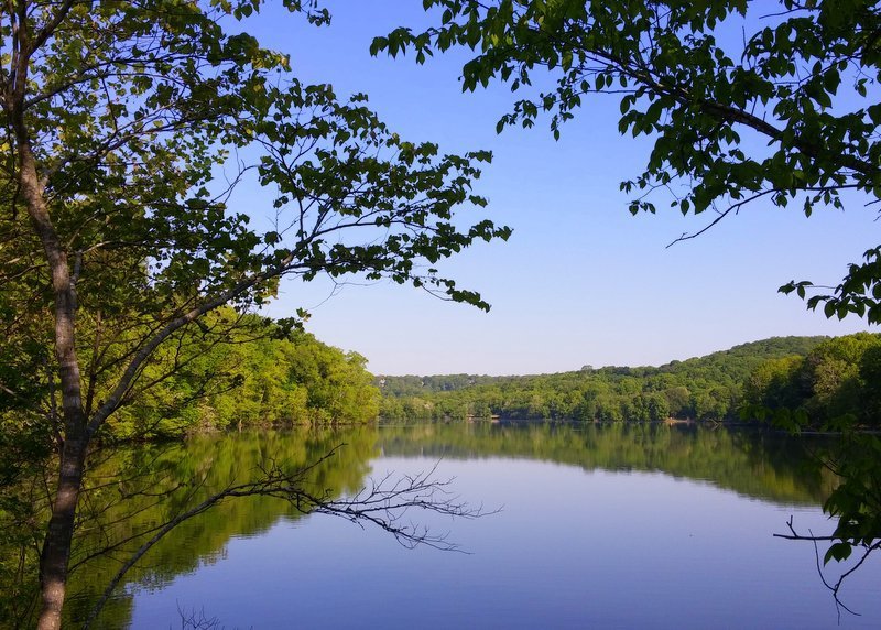 Radnor Lake Nashville - WellTuned by BCBST
