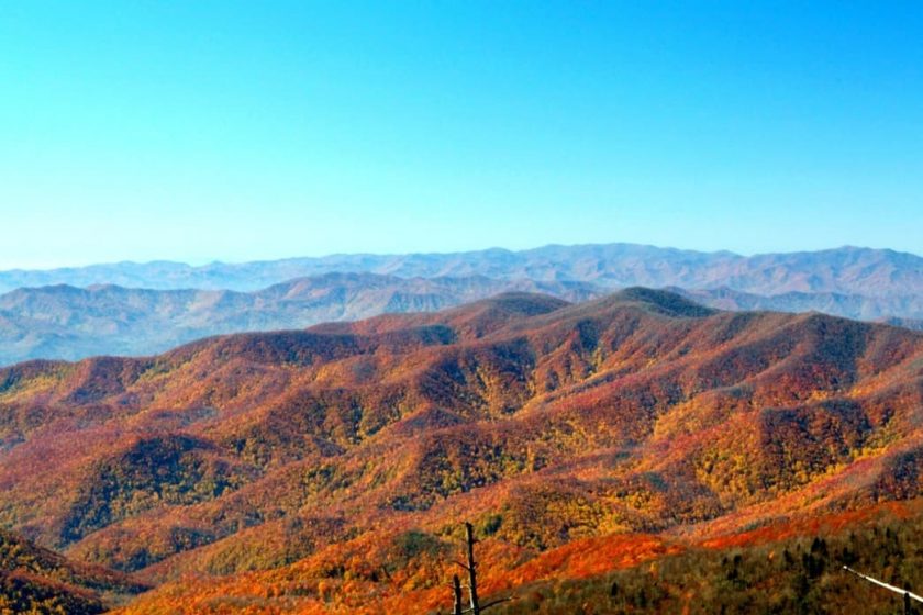 A Comprehensive Guide to Finding Knoxville's Best Fall Color ...
