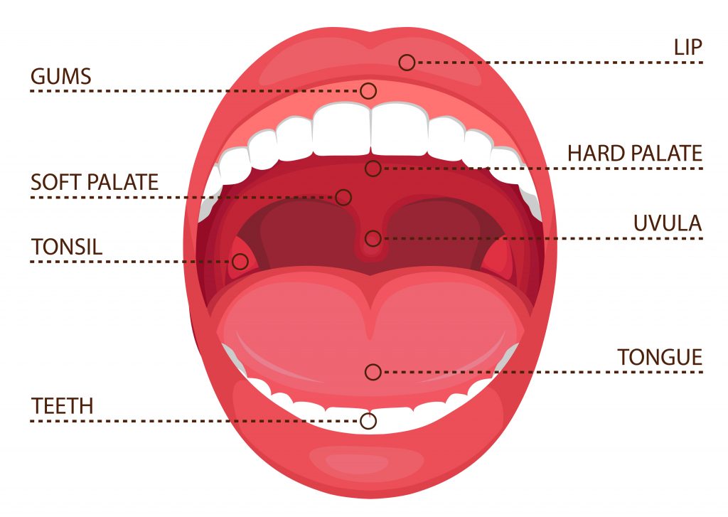 What Snoring Says About Your Health - WellTuned by BCBST
