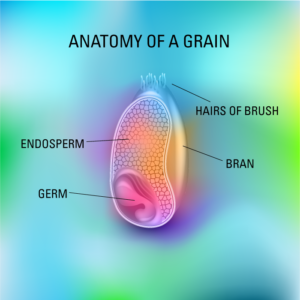 Whole grain guide: Breaking down grains, oats, rice, meals & more ...